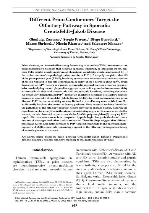 (PDF) Different Prion Conformers Target the Olfactory Pathway in ...