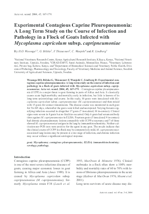(PDF) Experimental contagious caprine pleuropneumonia: a long term ...