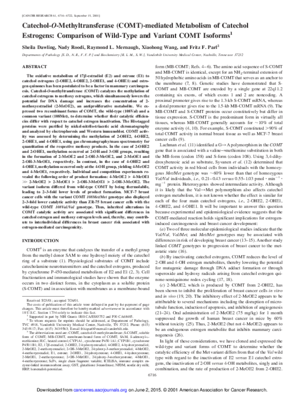 (PDF) Catechol-O-methyltransferase (COMT)-mediated metabolism of ...