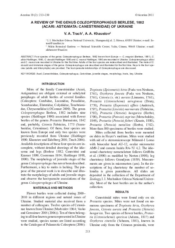 (PDF) A review of the genus Coleopterophagus (Acari: Astigmata ...