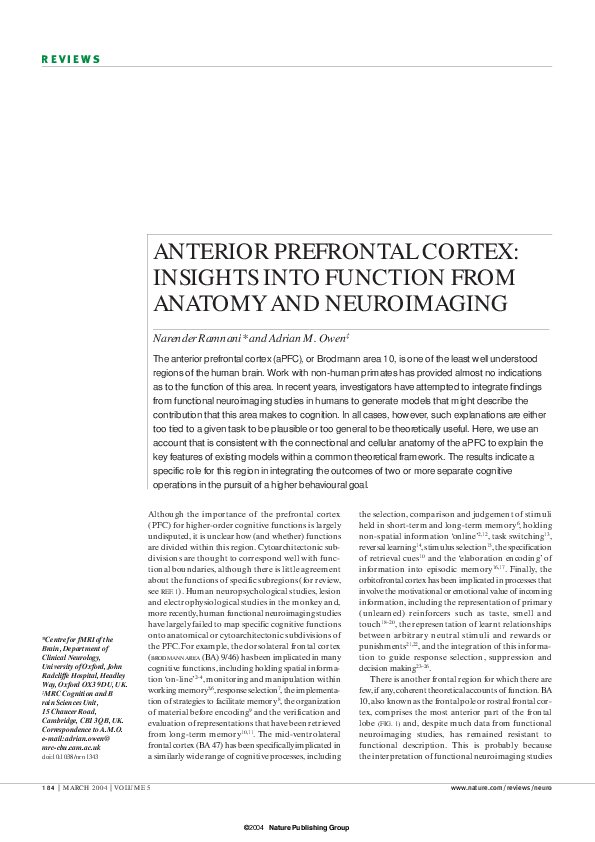 (PDF) Anterior prefrontal cortex: insights into function from anatomy ...