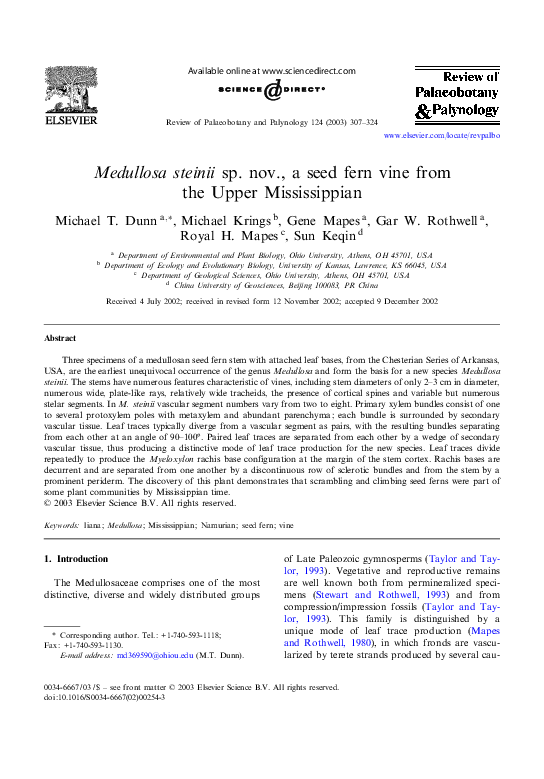 (PDF) Medullosa steinii sp. nov., a seed fern vine from the Upper ...
