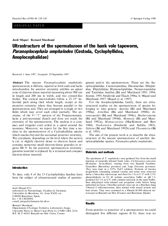 (PDF) Ultrastructure of the spermatozoon of the bank vole tapeworm ...