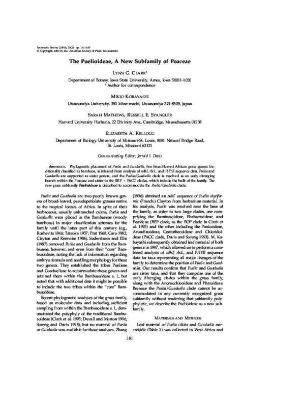 (PDF) The Puelioideae, A New Subfamily of Poaceae