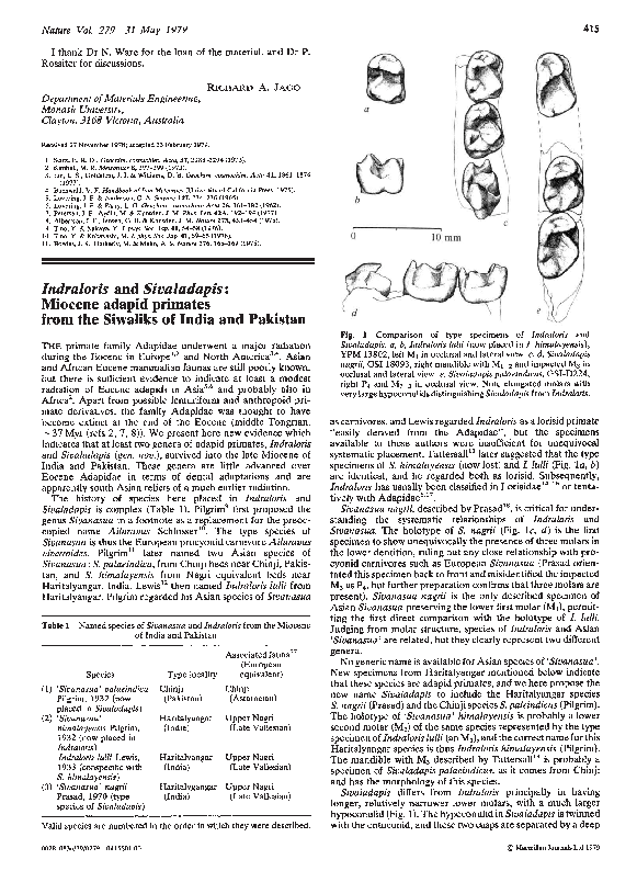 (PDF) Indraloris and Sivaladapis: Miocene adapid primates from the ...