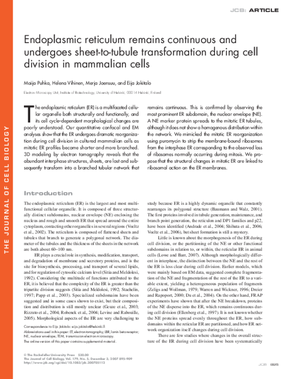 (PDF) Endoplasmic reticulum remains continuous and undergoes sheet-to ...