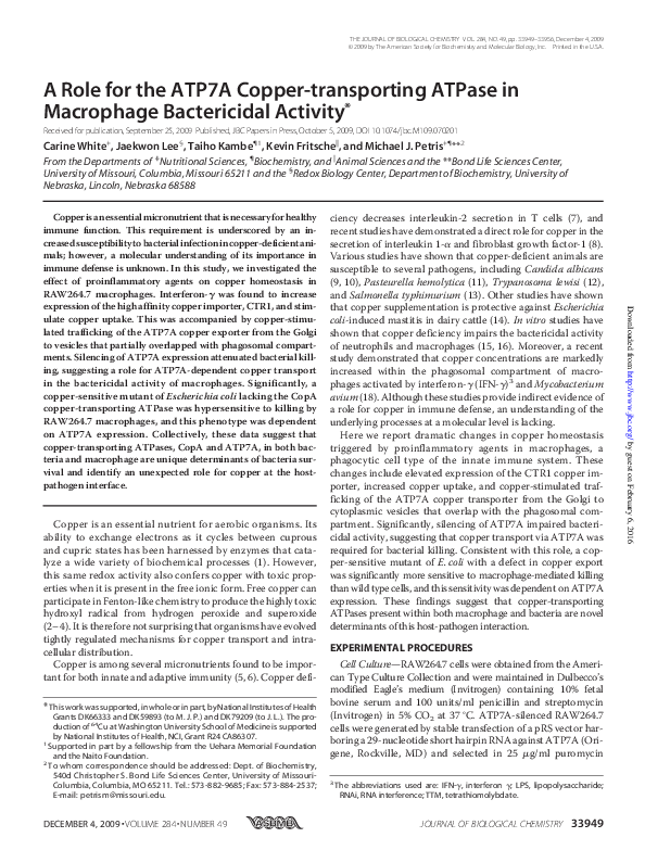 (PDF) A Role for the ATP7A Copper-transporting ATPase in Macrophage ...