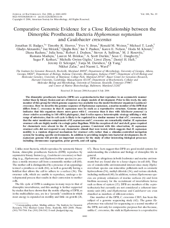 (PDF) Comparative Genomic Evidence for a Close Relationship between the ...