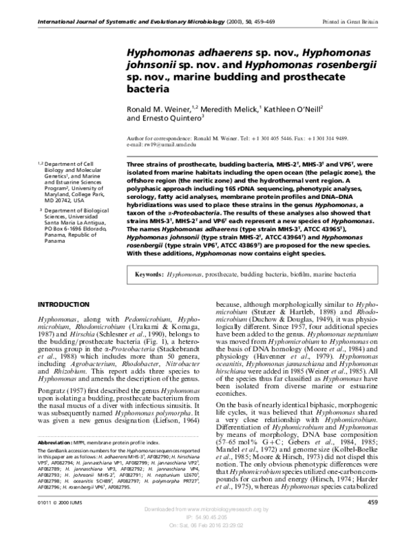 (PDF) Hyphomonas adhaerens sp. nov., Hyphomonas johnsonii sp. nov. and ...