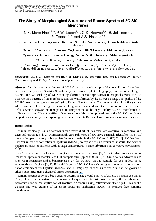 (PDF) The Study of Morphological Structure and Raman Spectra of 3C-SiC ...
