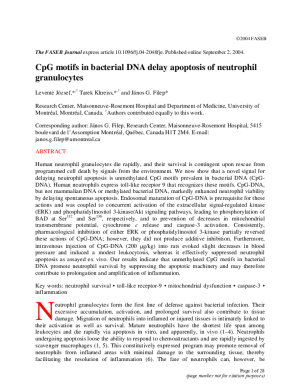 (PDF) CpG motifs in bacterial DNA delay apoptosis of neutrophil ...