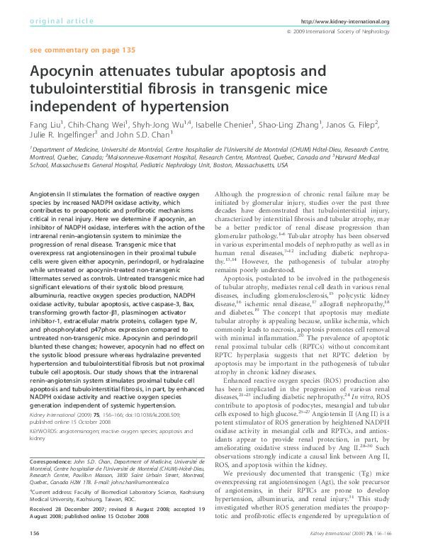 (PDF) Apocynin attenuates tubular apoptosis and tubulointerstitial ...