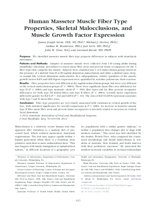 (PDF) Human Masseter Muscle Fiber Type Properties, Skeletal ...