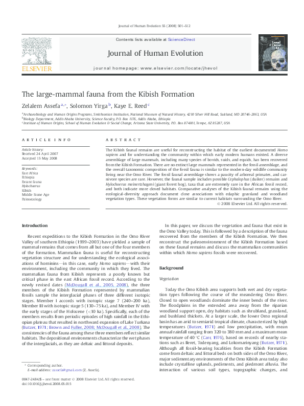 (PDF) The large-mammal fauna from the Kibish Formation