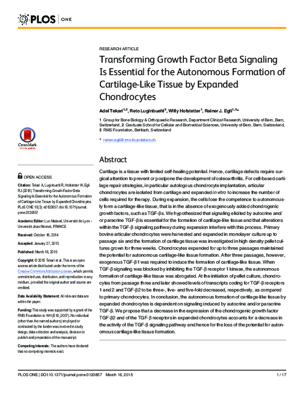 (PDF) Transforming Growth Factor Beta Signaling Is Essential for the Autonomous Formation of ...