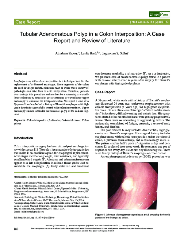 (PDF) Tubular Adenomatous Polyp in a Colon Interposition: A Case Report ...