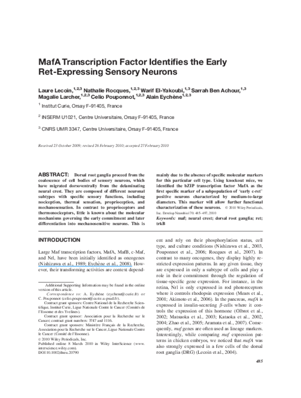 (PDF) MafA transcription factor identifies the early ret-expressing ...