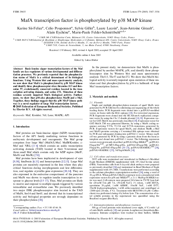 (PDF) MafA transcription factor is phosphorylated by p38 MAP kinase