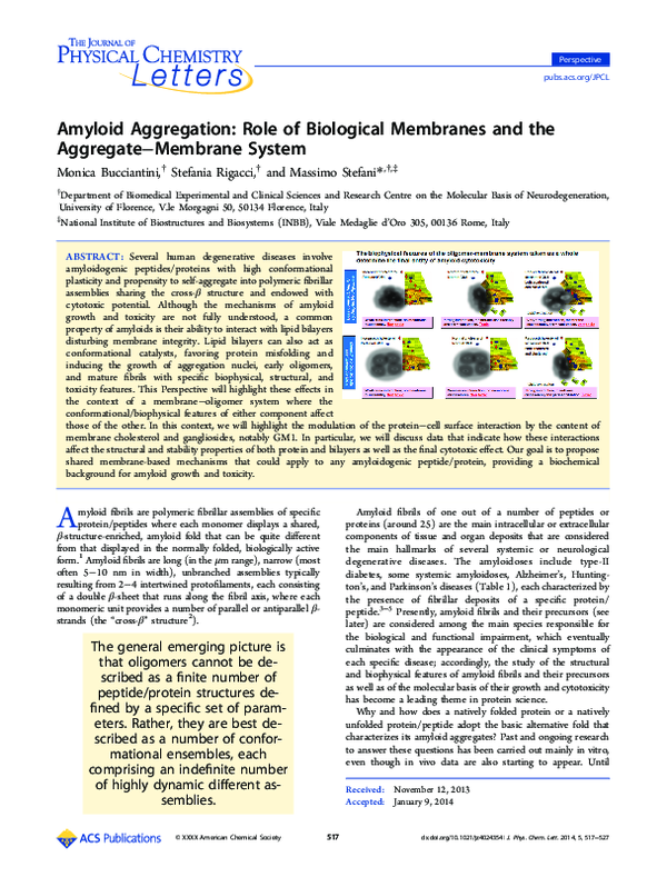 (PDF) Amyloid Aggregation: Role of Biological Membranes and the ...