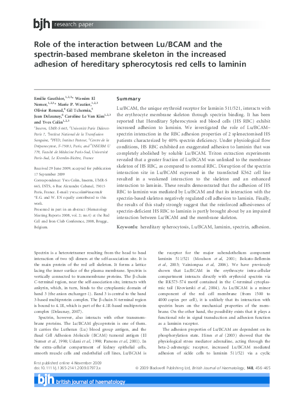 (PDF) Role of the interaction between Lu/BCAM and the spectrin-based ...