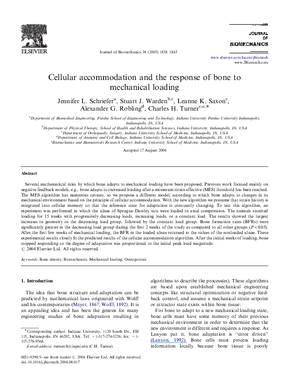 (PDF) Cellular accommodation and the response of bone to mechanical loading