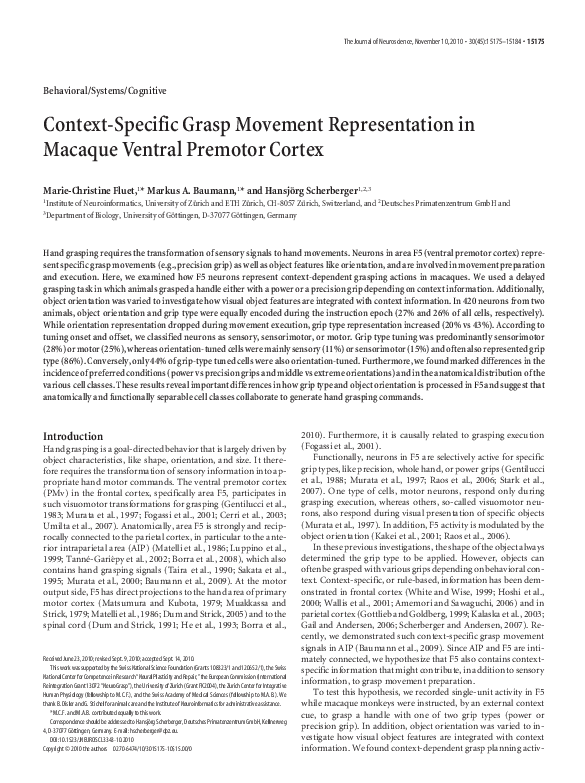 (PDF) Context-Specific Grasp Movement Representation in Macaque Ventral Premotor Cortex