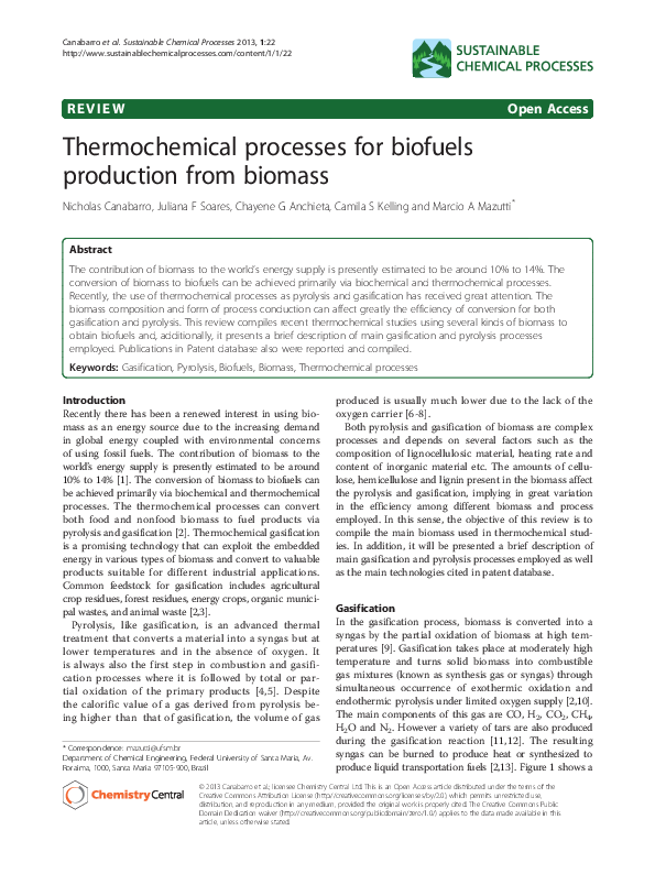 (PDF) Thermochemical processes for biofuels production from biomass