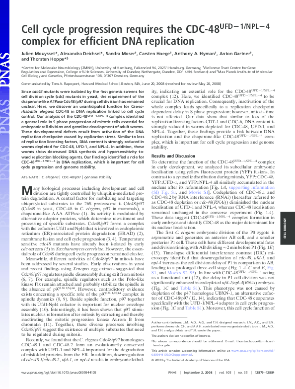 (PDF) Cell cycle progression requires the CDC-48UFD-1/NPL-4 complex for ...