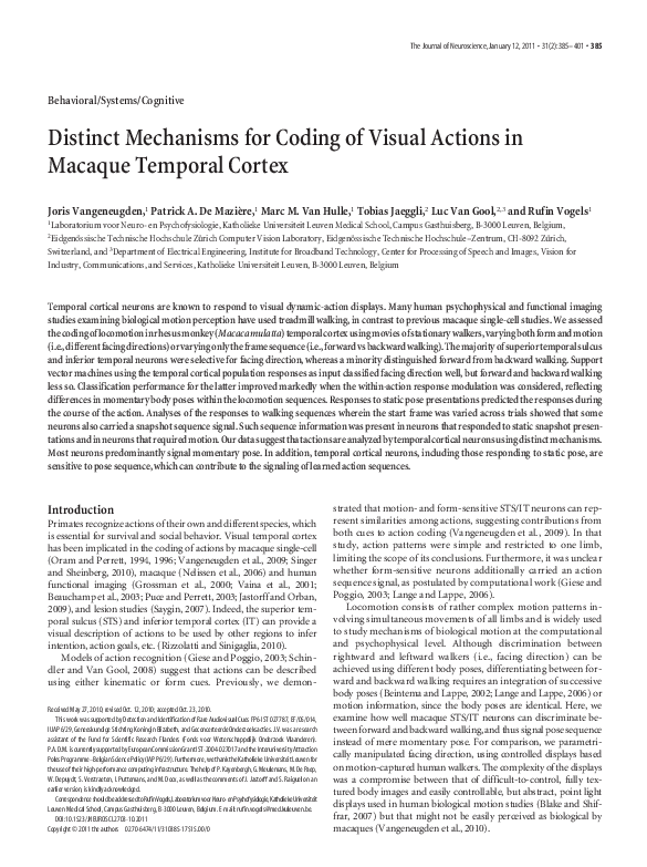 (PDF) Distinct Mechanisms for Coding of Visual Actions in Macaque Temporal Cortex