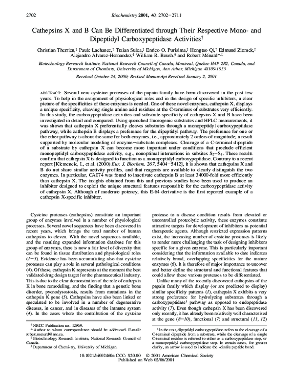 (PDF) Cathepsins X and B Can Be Differentiated through Their Respective ...