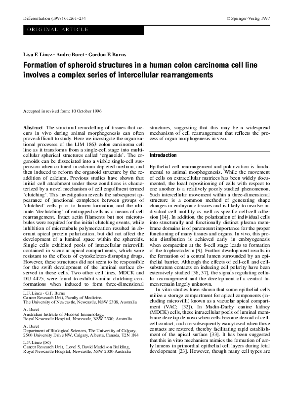 (PDF) Formation of spheroid structures in a human colon carcinoma cell ...