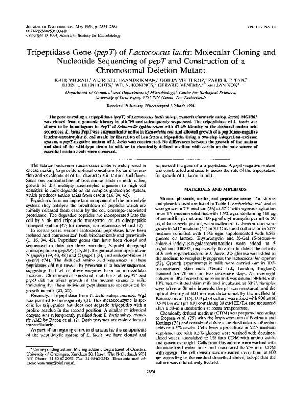 Pdf Tripeptidase Gene Pept Of Lactococcus Lactis Molecular Cloning