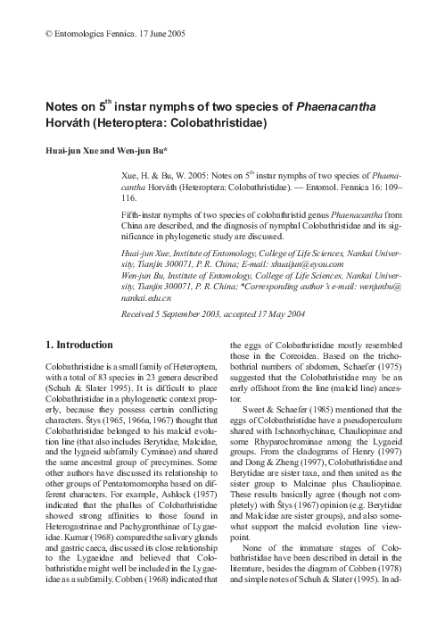 (PDF) Notes on 5th instar nymphs of two species of Phaenacantha Horváth ...