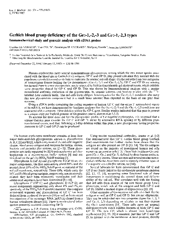 (PDF) Gerbich blood group deficiency of the Ge:-1,-2,-3 and Ge:-1,-2,3 ...