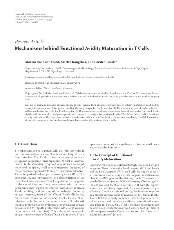 (PDF) Mechanisms behind Functional Avidity Maturation in T Cells
