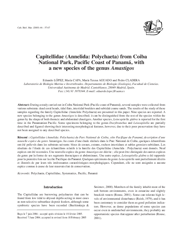 (PDF) Capitellidae (Annelida: Polychaeta) from Coiba National Park ...