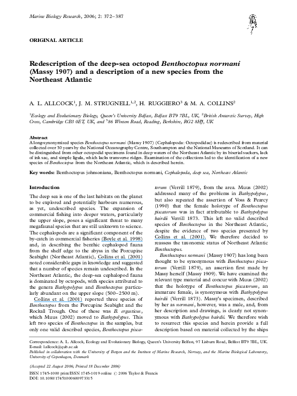 (PDF) Redescription of the deep-sea octopod Benthoctopus normani (Massy ...