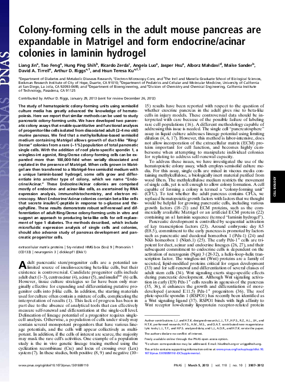 (PDF) Colony-forming cells in the adult mouse pancreas are expandable ...