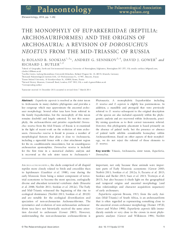 (PDF) The monophyly of Euparkeriidae (Reptilia: Archosauriformes) and ...