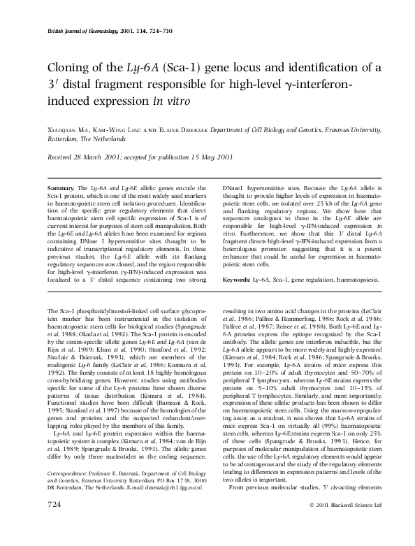 (PDF) Cloning of the Ly6A (Sca1) gene locus and identification of a 3 ...