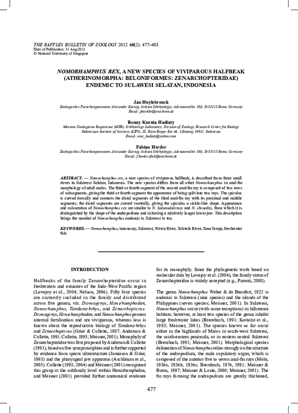 (PDF) Nomorhamphus rex, a new species of viviparous halfbeak ...