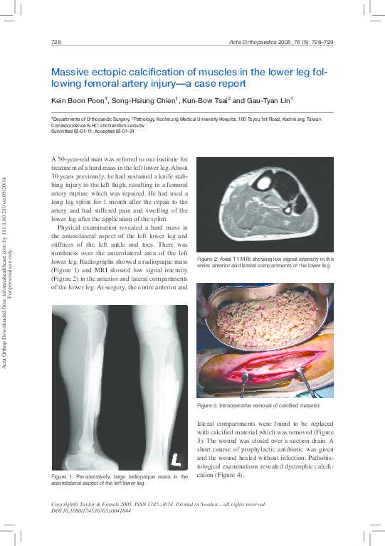 (PDF) Massive ectopic calcification of muscles in the lower leg ...