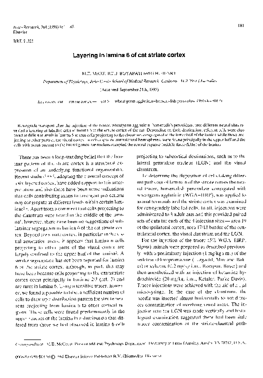 (PDF) Layering in lamina 6 of cat striate cortex