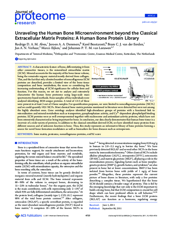 (PDF) Unraveling the Human Bone Microenvironment beyond the Classical Extracellular Matrix ...