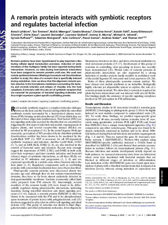 (PDF) A remorin protein interacts with symbiotic receptors and ...