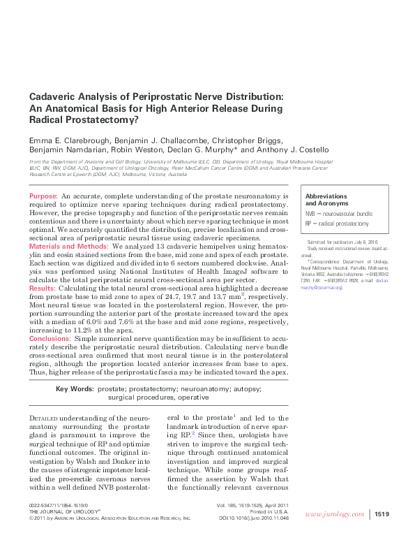 (PDF) Cadaveric Analysis of Periprostatic Nerve Distribution: An ...