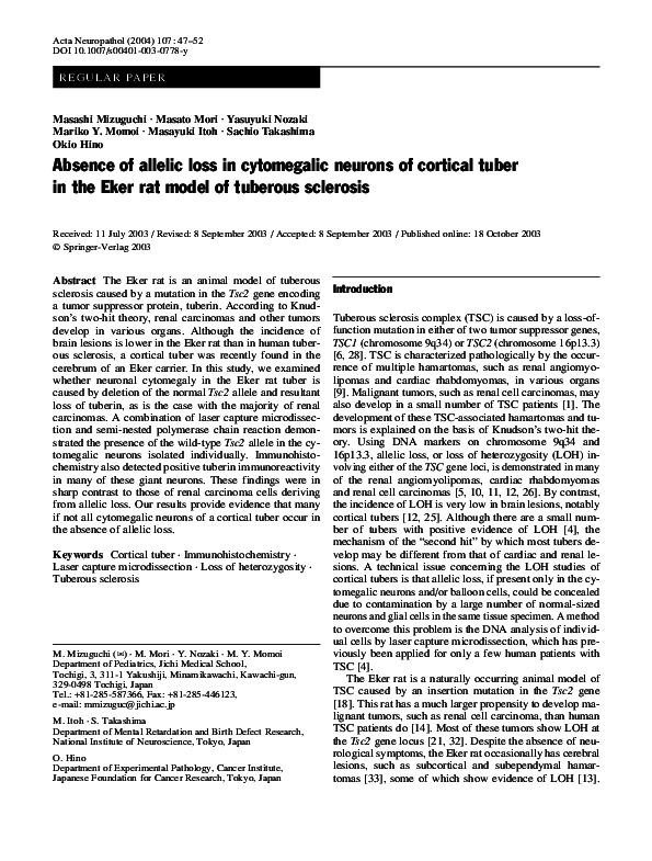 (PDF) Absence of allelic loss in cytomegalic neurons of cortical tuber ...