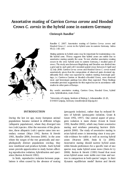 (PDF) Assortative Mating of Carrion Corvus corone and Hooded Crows C. cornix in the Hybrid Zone ...