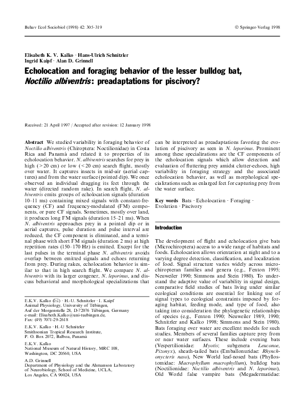(PDF) Echolocation and foraging behavior of the lesser bulldog bat ...