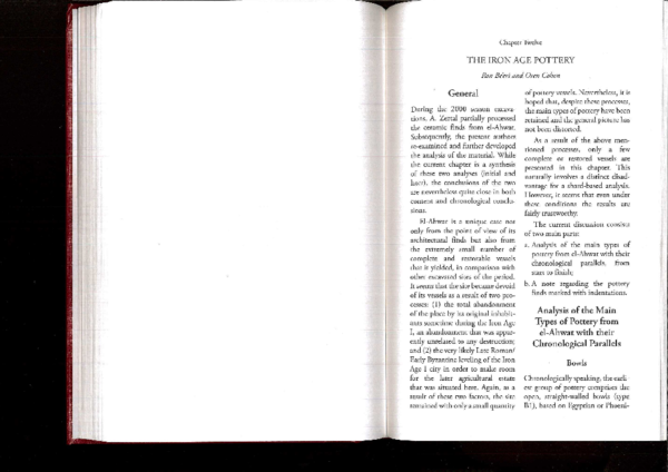(PDF) El-Ahwat - The Iron Age Pottery